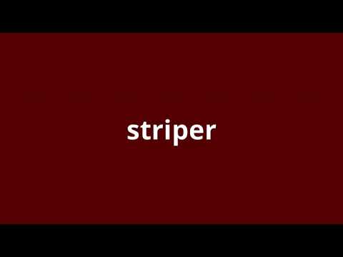 what is the meaning of striper