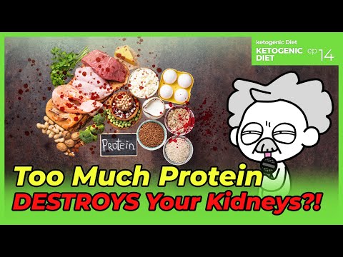 Is Too Much Protein Bad for Your Kidneys? Find Out Here! | Ep 14