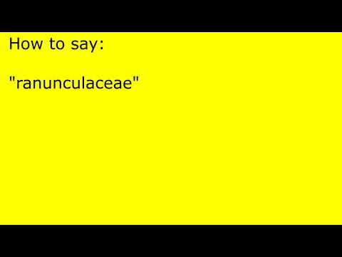 How to pronounce ranunculaceae