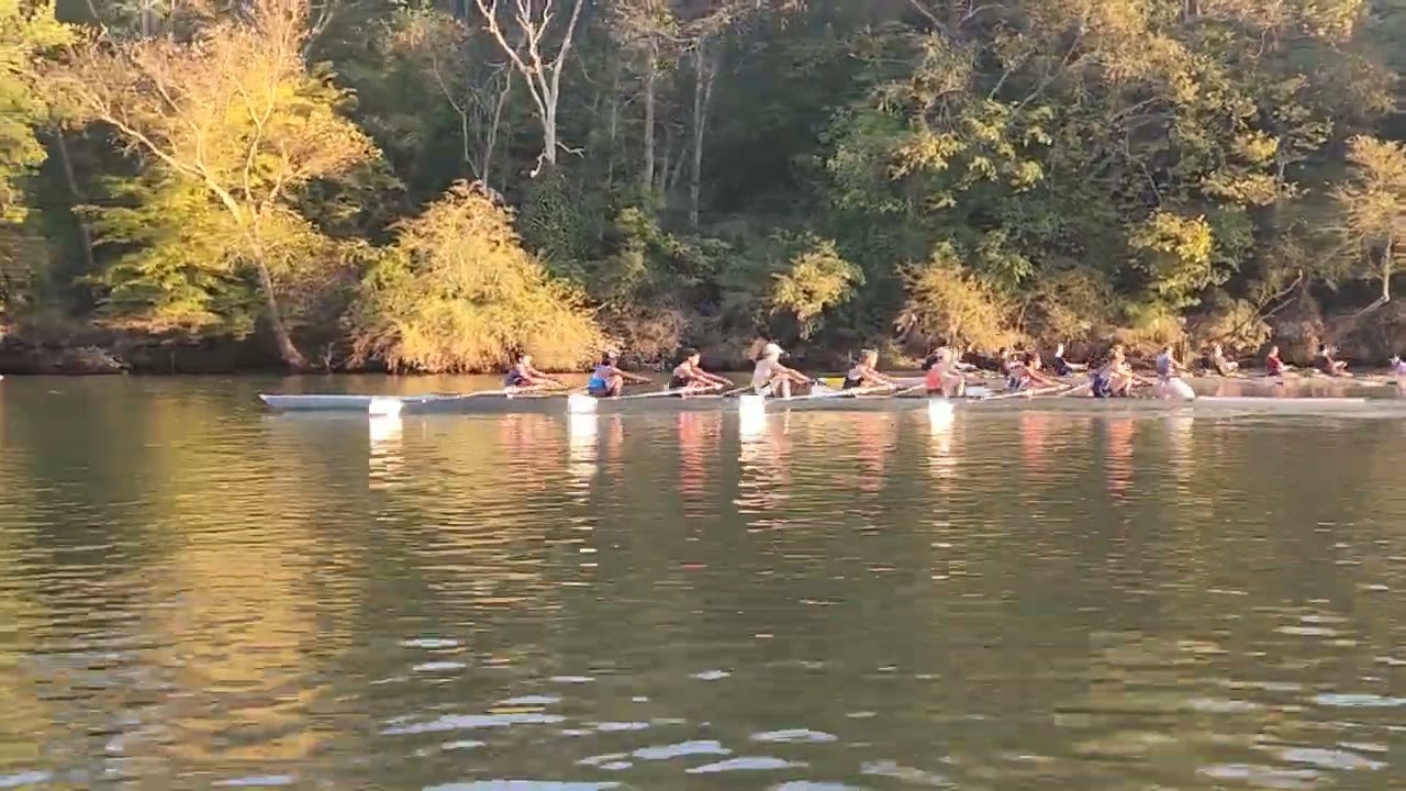 Varsity 8 Rowing (7seat)