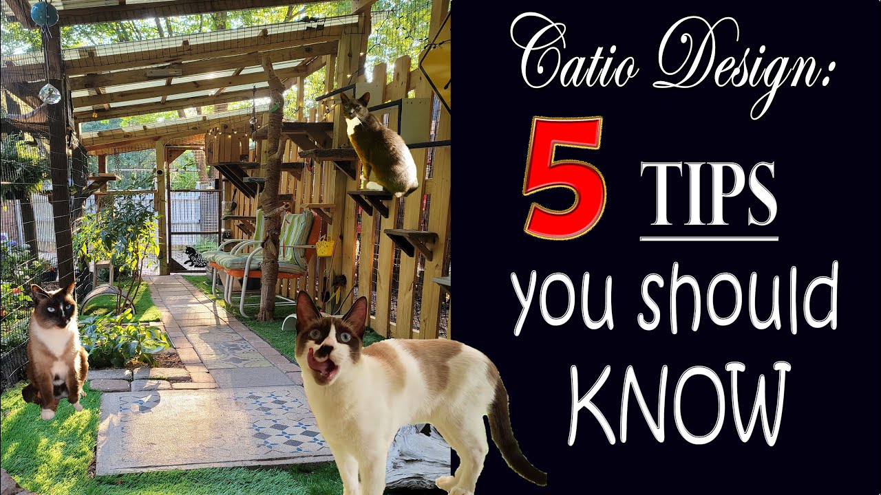 DIY Cat Enclosure - TIPS for Success! - Start here 😻