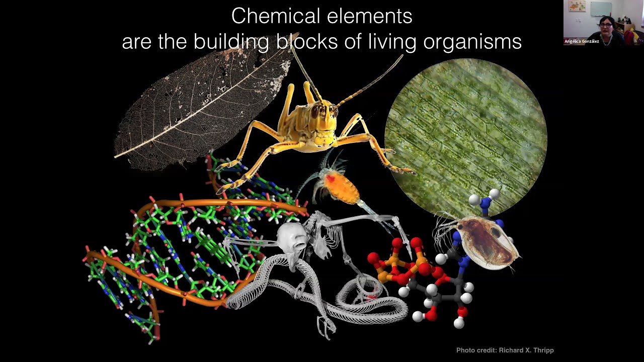 Understanding Structure; Function of Ecological Systems Over Space & Time