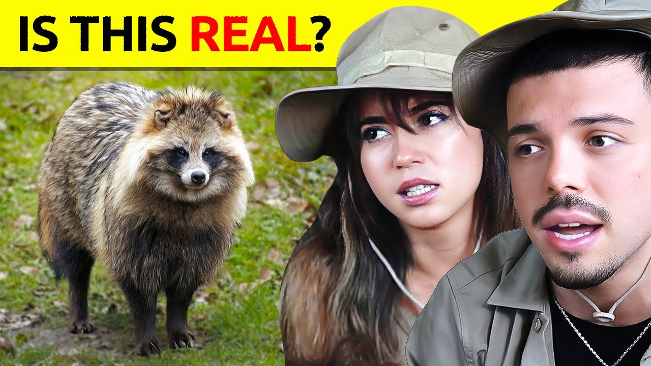 Maya Higa Tests Adapt’s Animal Knowledge!