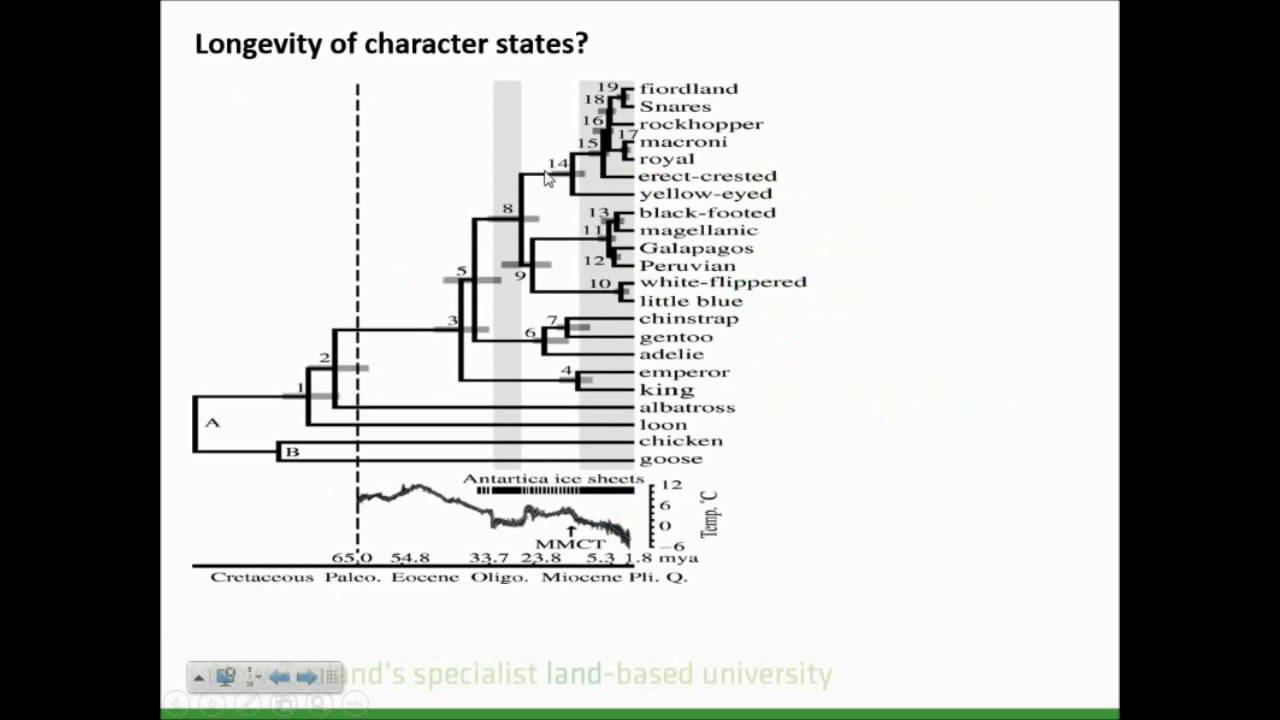 Biological and Cultural Evolution in Humans