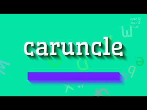 How to say "caruncle"! (High Quality Voices)