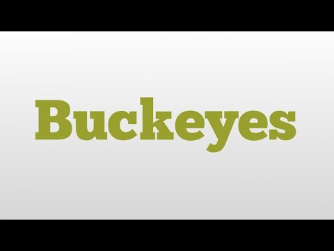 Buckeyes meaning and pronunciation