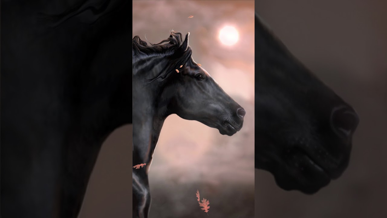 Live wallpaper Frisian Horse