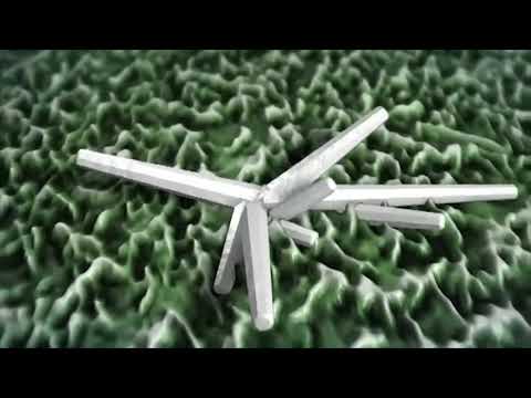 BASF Fungicides - Latest Price, Dealers & Retailers in India