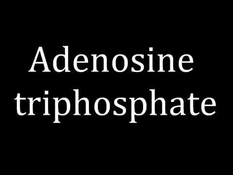 How to pronounce Adenosine Triphosphate