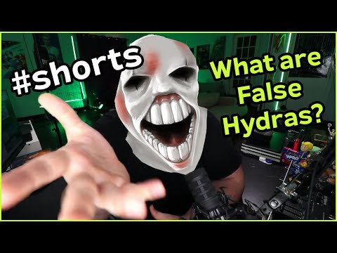 What is a False Hydra in D&D?