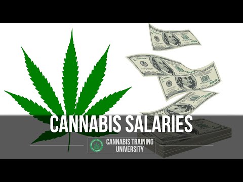 Cannabis Industry Job Salary Guide - Cannabis Jobs. Budtender Jobs. Dispensary Jobs.