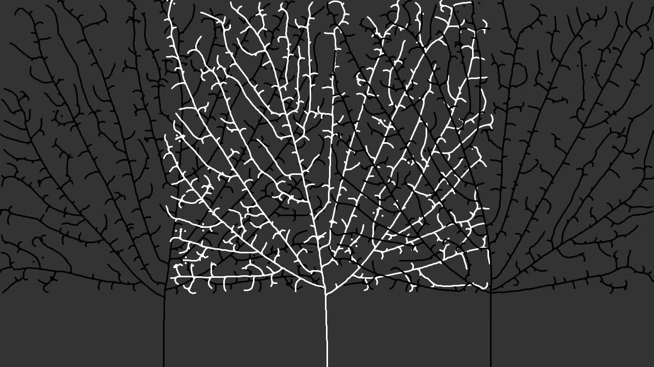 FRACTAL TREE #3 - Space Colonization