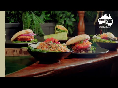 Vegan menu at Australia Zoo! | Australia Zoo Life