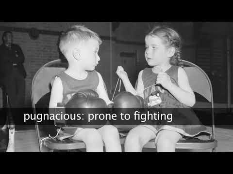 what does pugnacious mean?