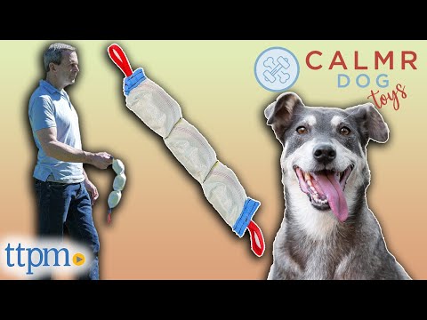 Vim 16 Dog Calming Toy from Calmr Dog Review!