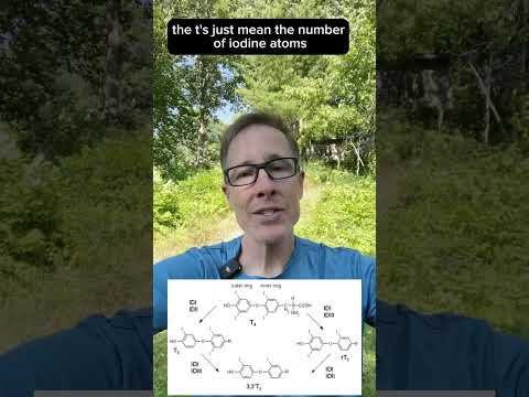 understanding, thyroid labs. Whenever you see ‘T’, think iodine!