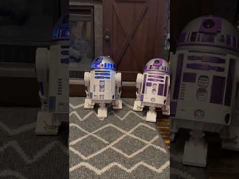 R2D2 Joined Our Family Tonight And R2K86 Now Has A New Friend! #starwarsgalaxyedge #droiddepot