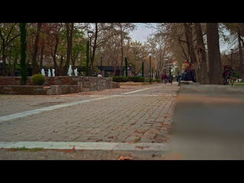 A Day At The Park | Live Postcard