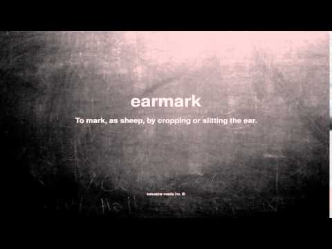 What does earmark mean