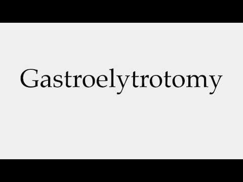 How to Pronounce Gastroelytrotomy