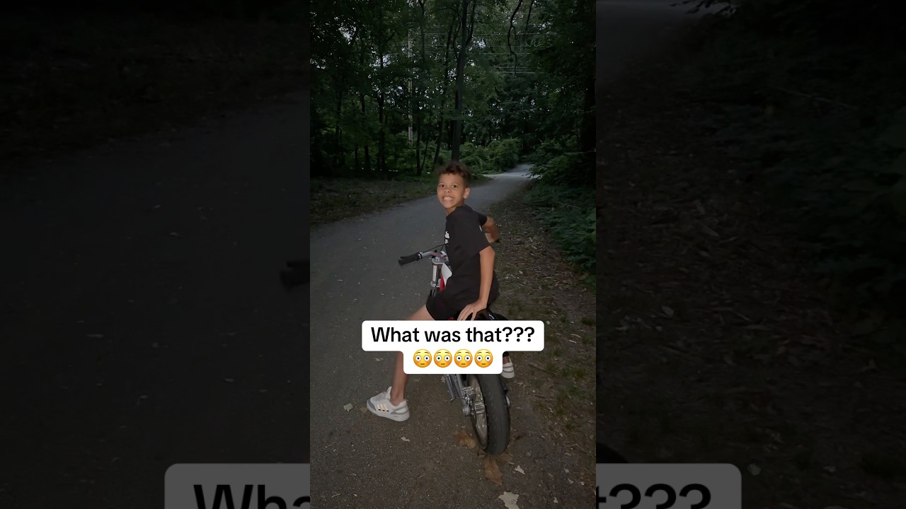 What was THAT in the forest? 😳😳😳
