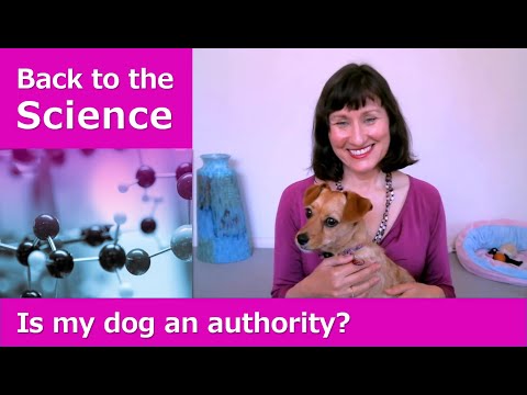 Logical fallacies EXPOSED! #6 The appeal to authority fallacy