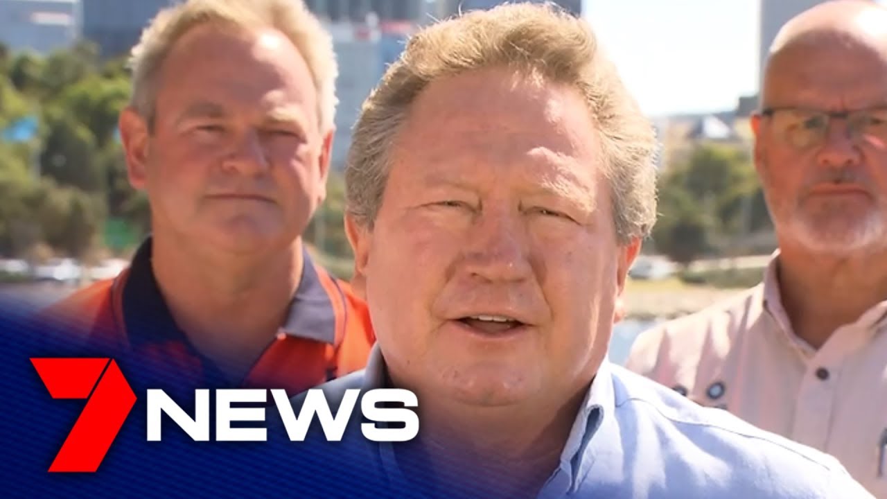 Andrew Forrest has pledged $70 million to the Australian bushfire crisis | 7NEWS