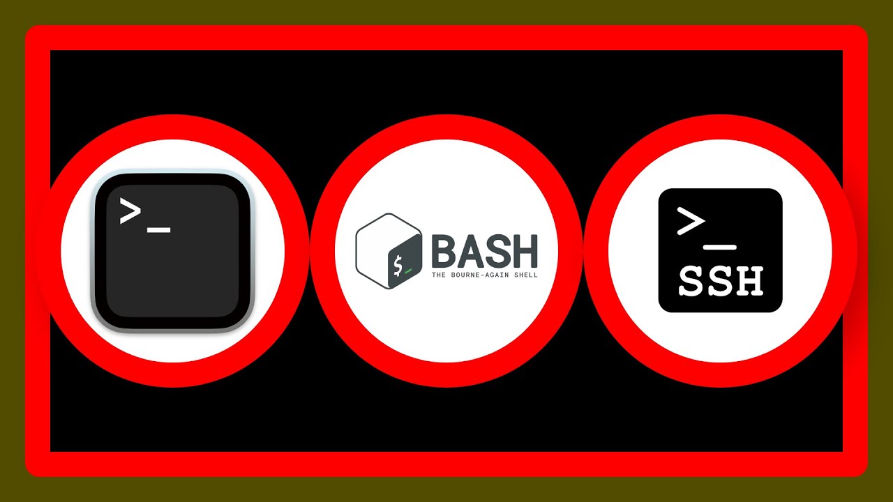 How to upload a file from the command line with FTP or SSH?