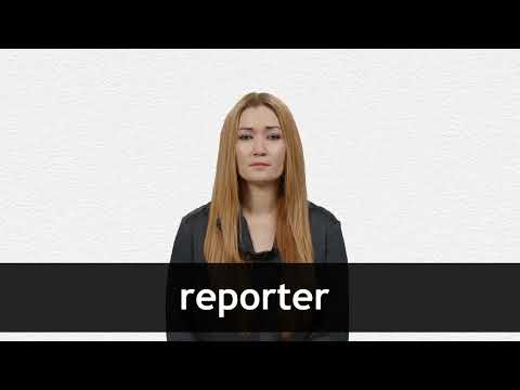 REPORTER 释义 | 柯林斯英语词典