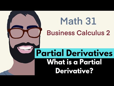 8.2 Partial Derivatives--What is a Partial Derivative? (Video 2) | Business Calculus 2