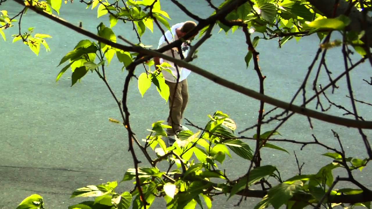 Daniel Knapp with the Tech Combo for Daily Dose #014