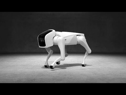 Meet the robot dog looking to replace man's best friend