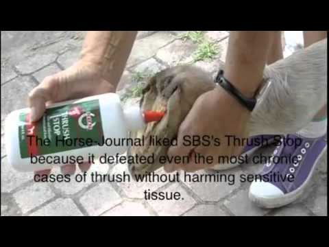 How to Protect & Treat Against Severe Thrush