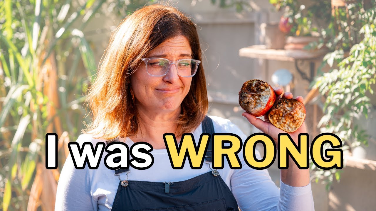 10 GARDENING MISTAKES I Made So You Don’t Have To