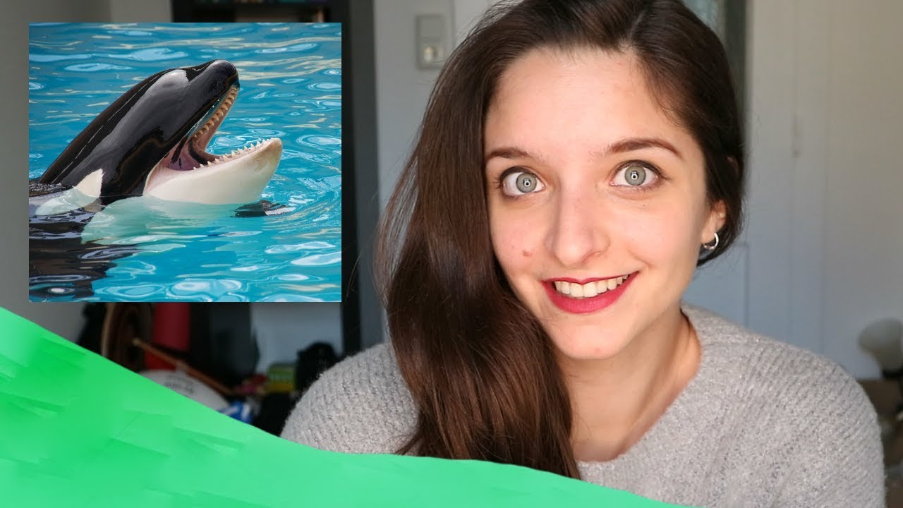 Worlds first TALKING ORCA!?