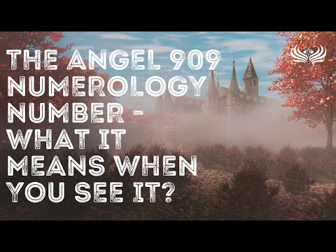 The Angel 909 Numerology Number 💛 What It Means When You See It?