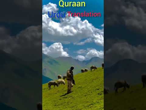 Middle verses of Quraan || Surah Shoora || #urduhinditranslation #translationquranandislam
