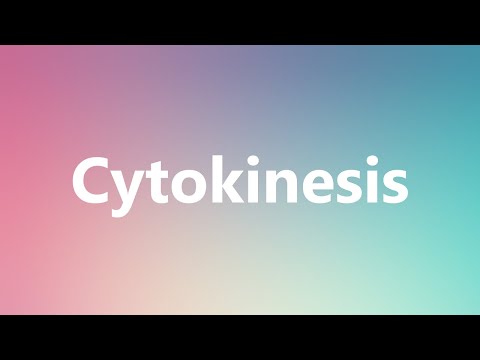 Cytokinesis - Medical Meaning and Pronunciation