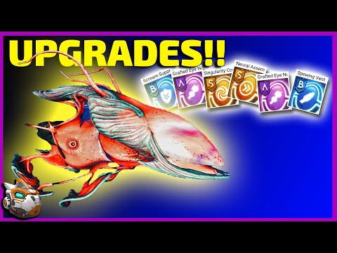How to Find New Living Ships and Get Upgrades | No Man's Sky 2020 Starbirth