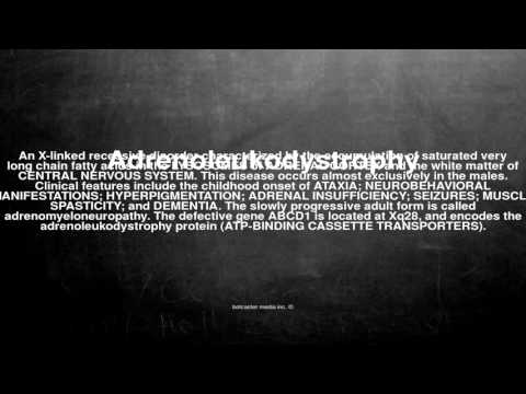 Medical vocabulary: What does Adrenoleukodystrophy mean