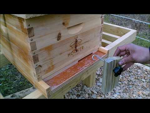 beehive entrance extractor tool (galena farms link and promo code in description)