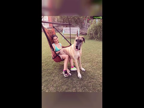 Kim Sharma Most Liked Instagram Posts and Photos! πβ€οΈβπ©Ήπ€
