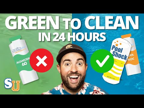 Clear Up a GREEN POOL in 24 Hours (With NO Algaecide)