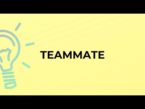 What is the meaning of the word TEAMMATE?