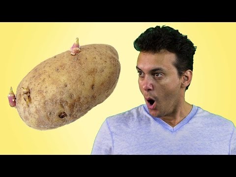 What does POTATO MEAN?