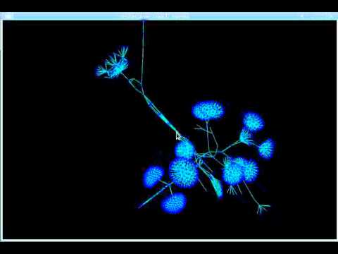 python graphviz vtk visualization