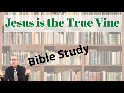 Jesus is the True Vine, We are the branches. Bible Study of John 15,1-8 What does it mean?