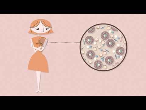 What Does My Number Mean?: A Basic Research Primer on Mammographic Density