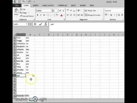#52 Counting non-numeric things in Excel