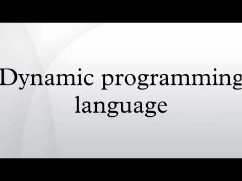 Dynamic programming language